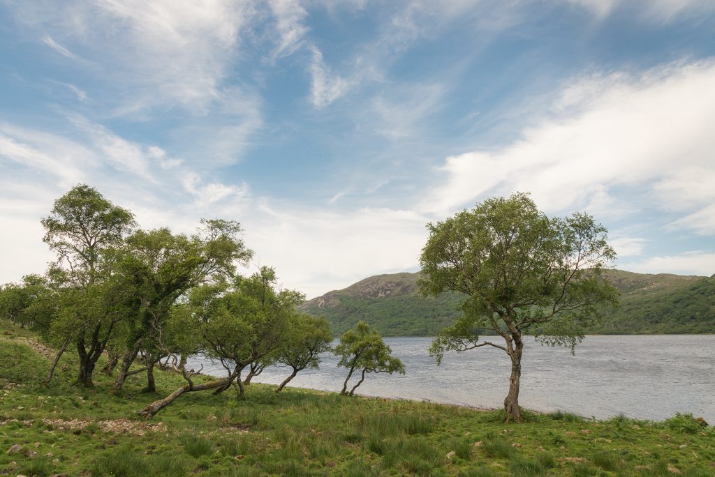 Loch Ba - Fotoreisen in Schottland